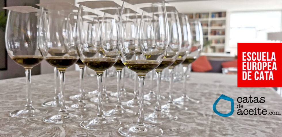 Nuevo evento de cata a domicilio en Madrid | Catas de aceite de oliva ...